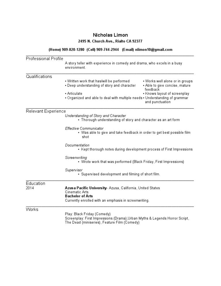 Screenwriter and Storyteller Profile | PDF