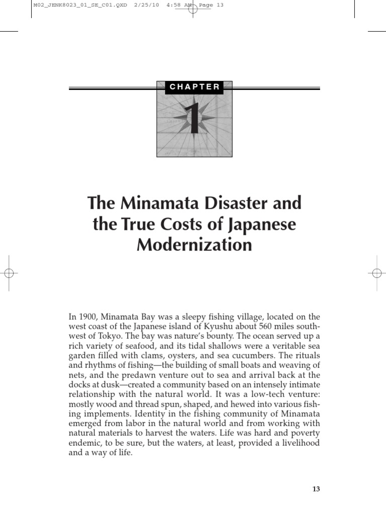 Chisso | PDF | Empire Of Japan | Japan