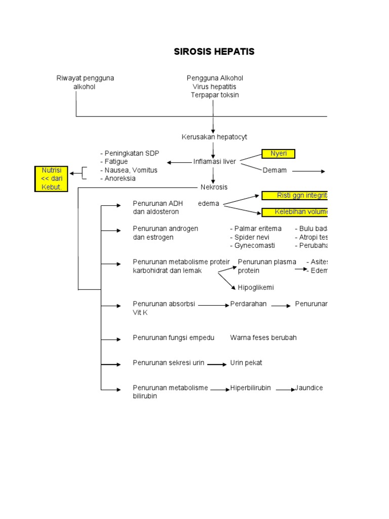Sirosis Hepatis Patofisiologi | PDF