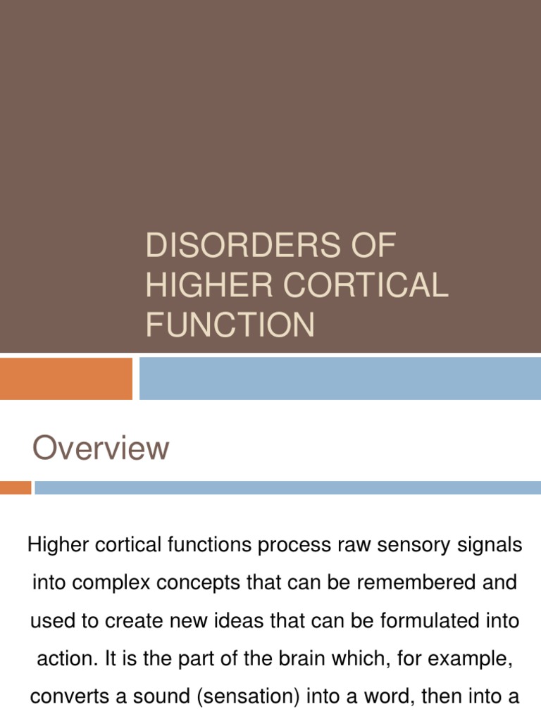 Higher Cortical Function Disorders | PDF | Parietal Lobe | Cerebral Cortex