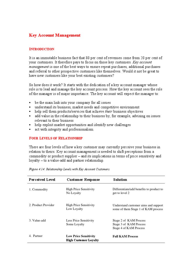 Key Account Management | Strategic Management | Market Analysis