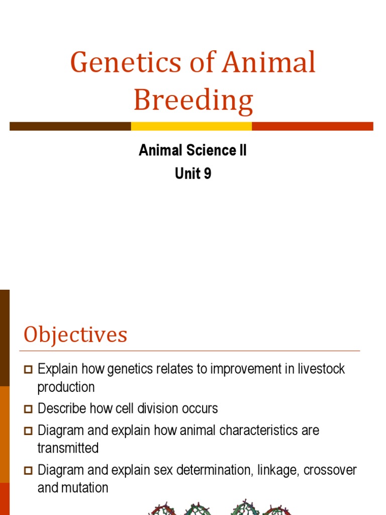 Animal Breeding Genetics Explained | PDF | Zygosity | Dominance (Genetics)