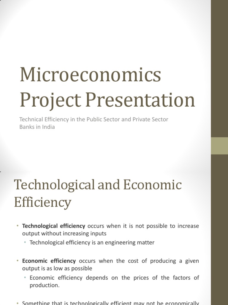 Microeconomics Project Presentation (1).pptx | Economics | Economies