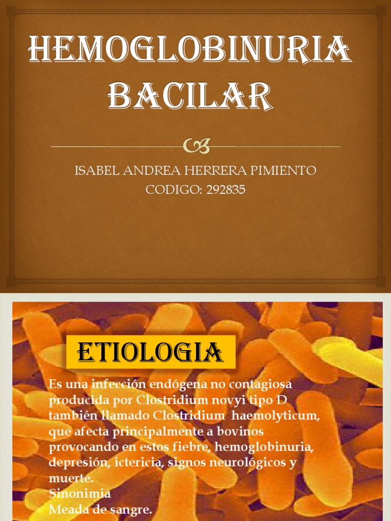 Hemoglobinuria Bacilar en Bovinos | PDF | Heces | Hígado