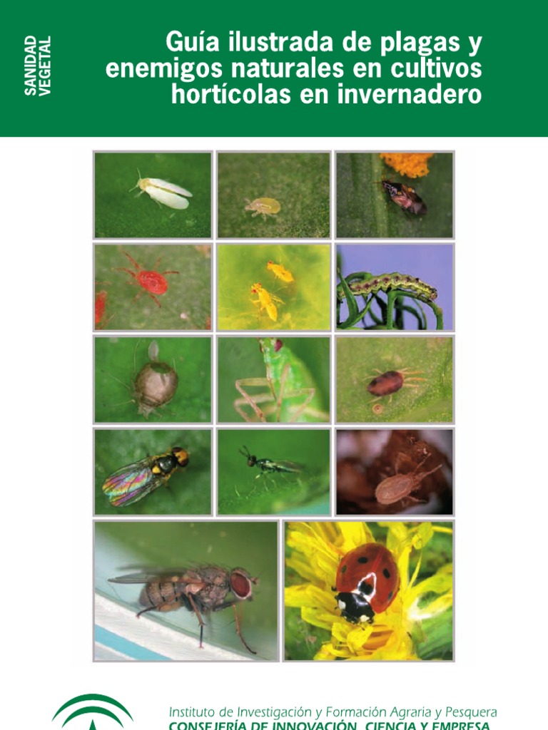 Guia Ilustrada de Plagas