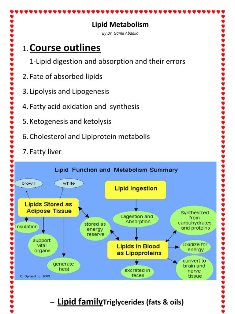 Course Outlines: Lipid Family | PDF | Ketosis | Triglyceride