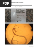 Parasitology Egg Identification Guide | PDF
