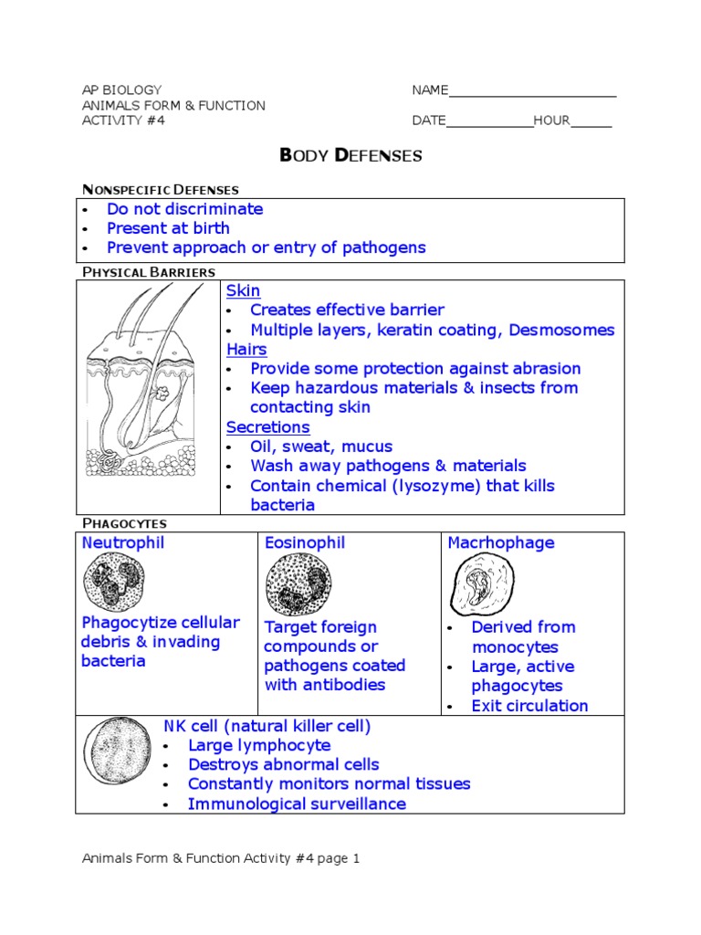 The Immune System: An Overview of Nonspecific Defenses, Phagocytes ...