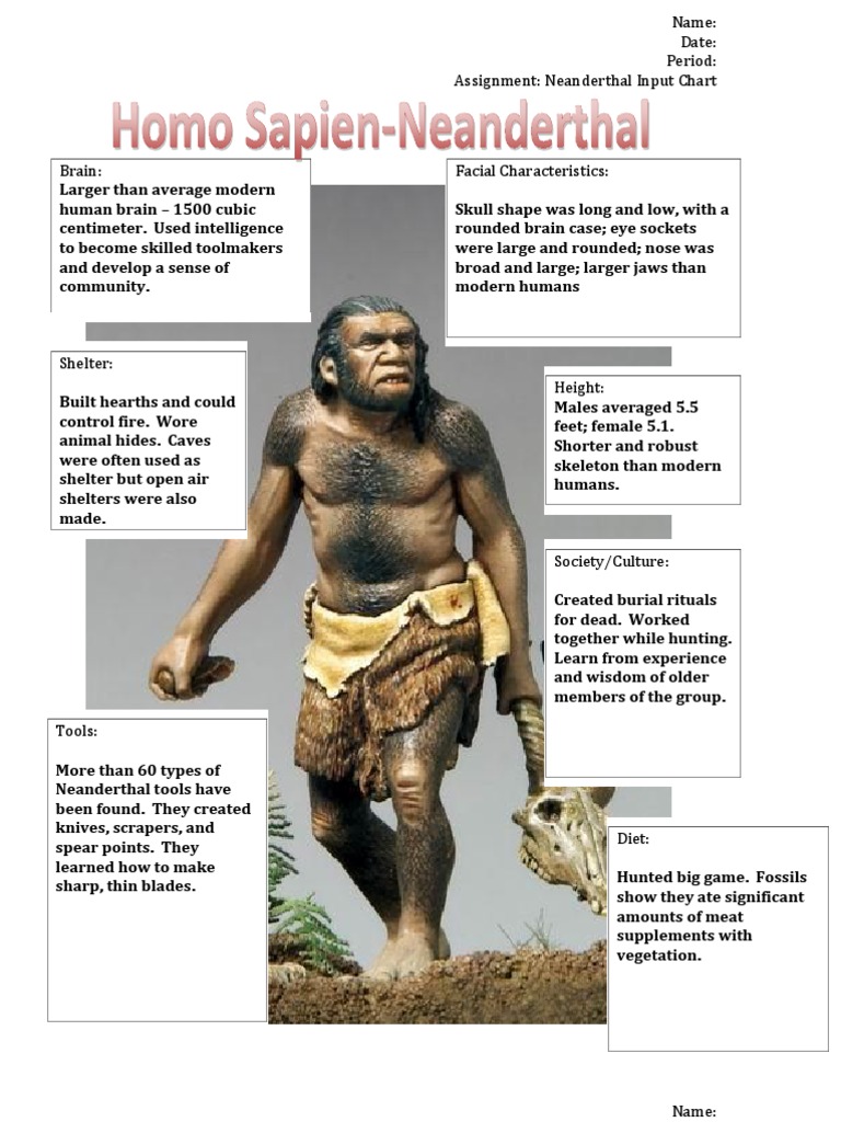 Homo Sapiens Neanderthalensis Hunting
