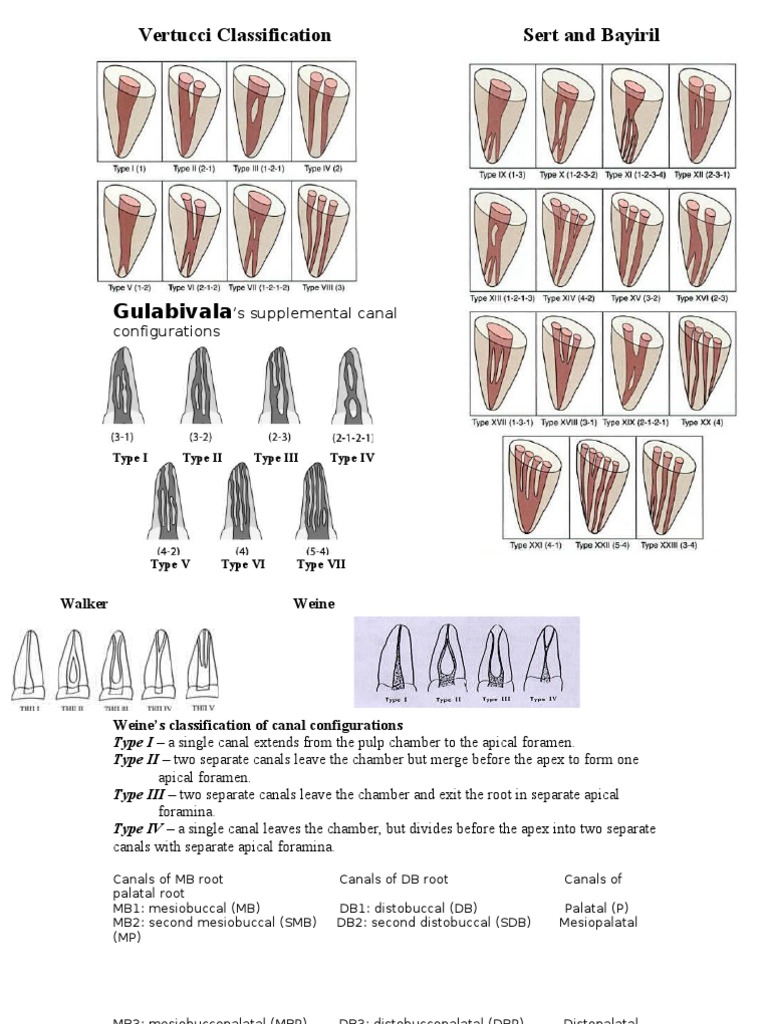 Vertucci Classification and More | PDF