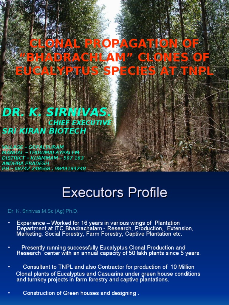 Clonal Propagation | PDF | Plant Breeding | Eucalyptus