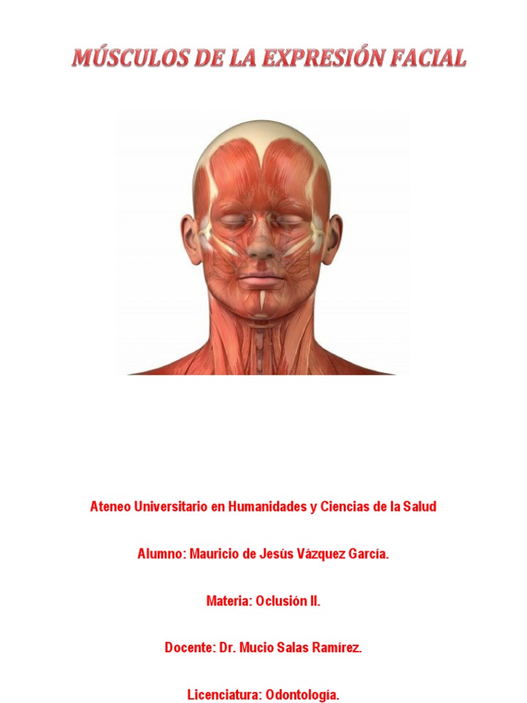 Músculos de La Expresión Facial | PDF | Rasgos faciales | Fisonomía
