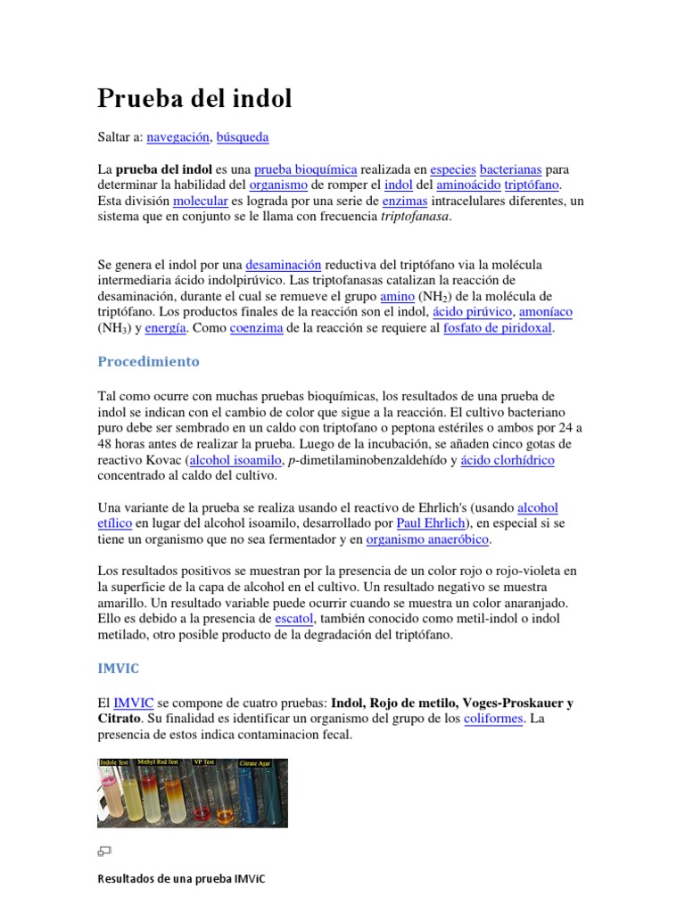 Prueba del Indol en Microbiología | PDF | Bioquímica | Química