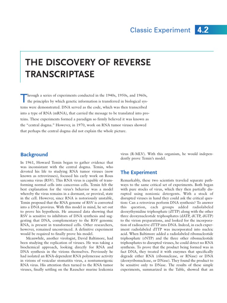 Reverse Transcriptase PDF | PDF | Reverse Transcriptase | Retrovirus