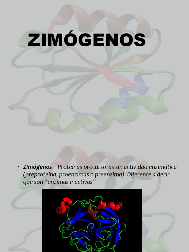Zimógenos: Definición y Activación | PDF | Proteasa | Coagulación