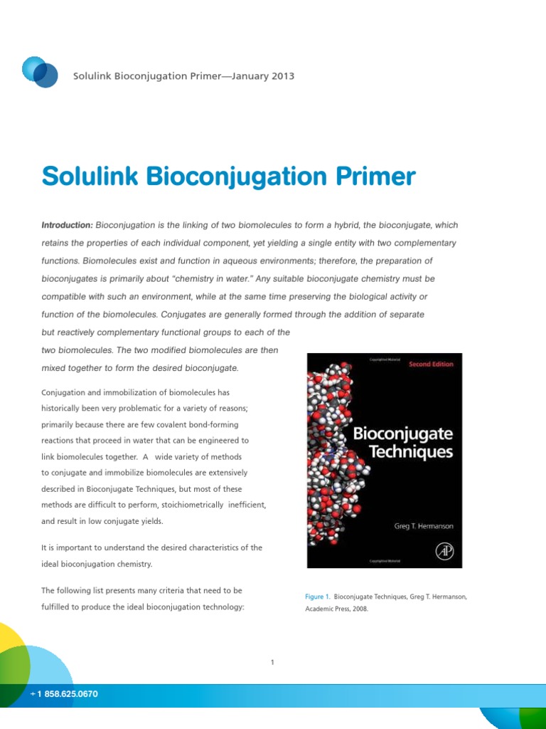 How To Bioconjugate - Read Solulink's Bioconjugation Primer | PDF ...