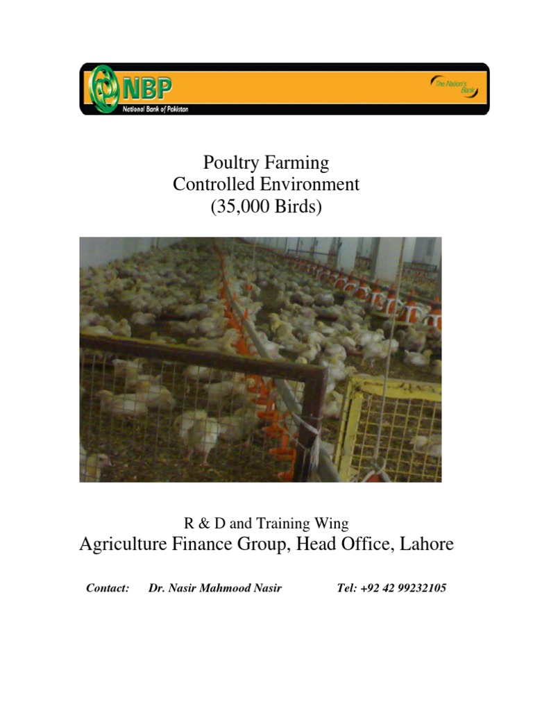 Feasibility Report On Poultry Farming (Controlled Environment) | PDF ...