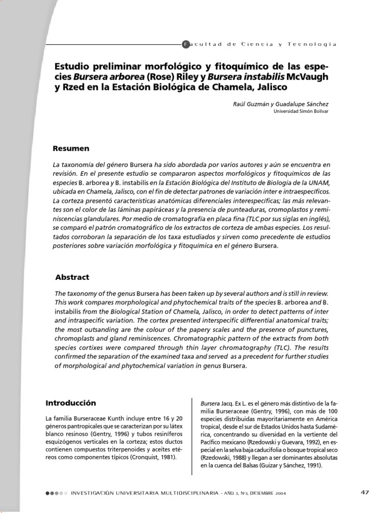 Estudio preliminar morfológico y fotoquímico de las especies Bursera ...