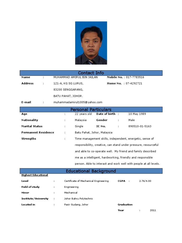 ReSuMe aMiRuL jAiLaN | PDF