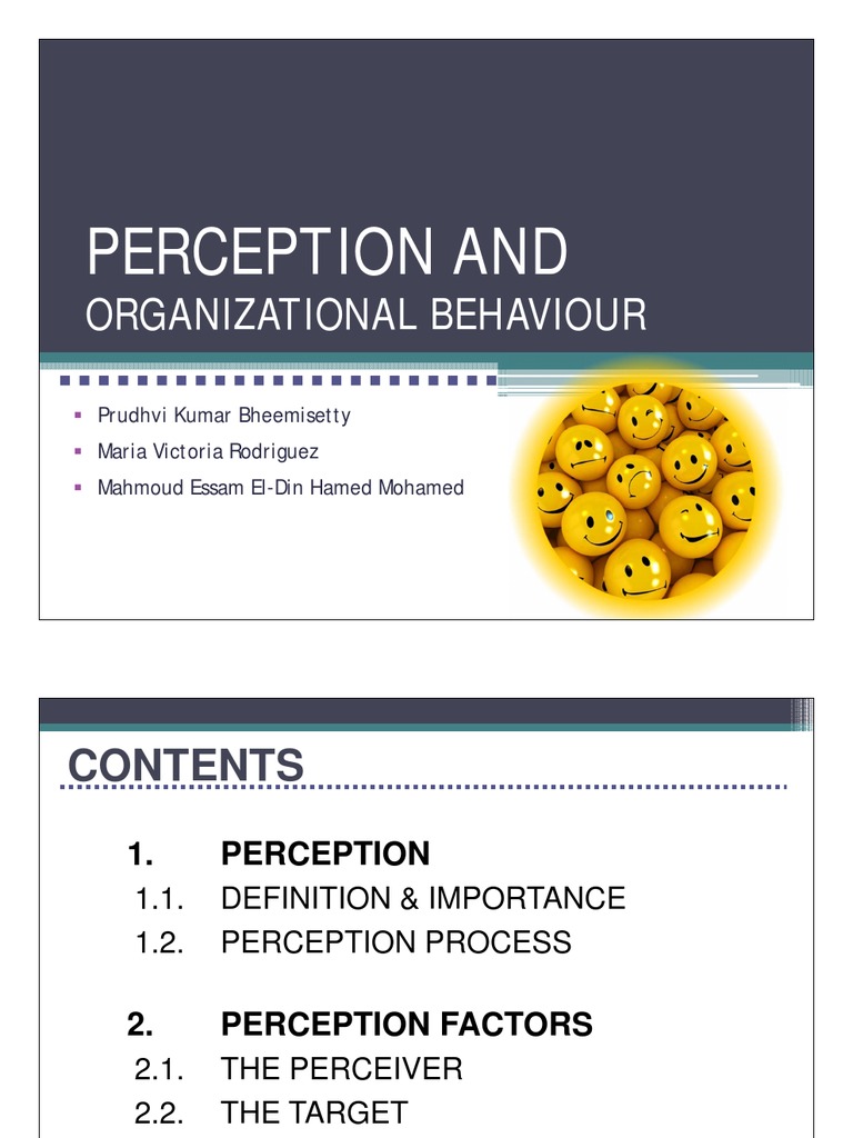 Perception | PDF | Perception | Organizational Behavior
