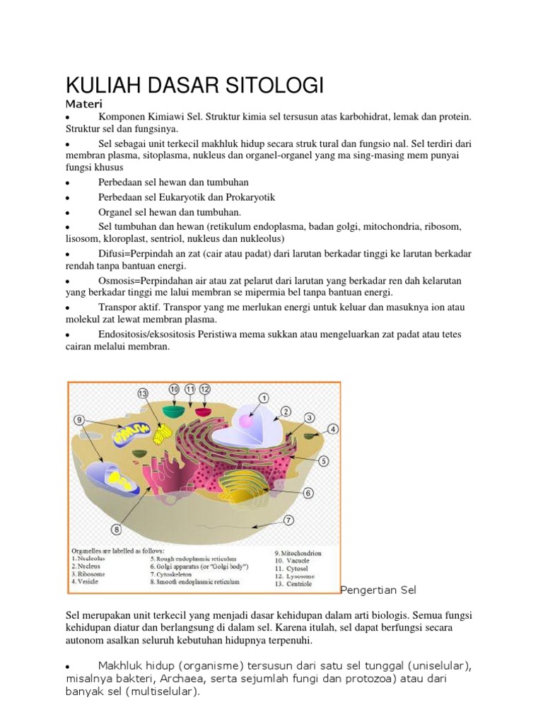 Kuliah Dasar Sitologi | PDF