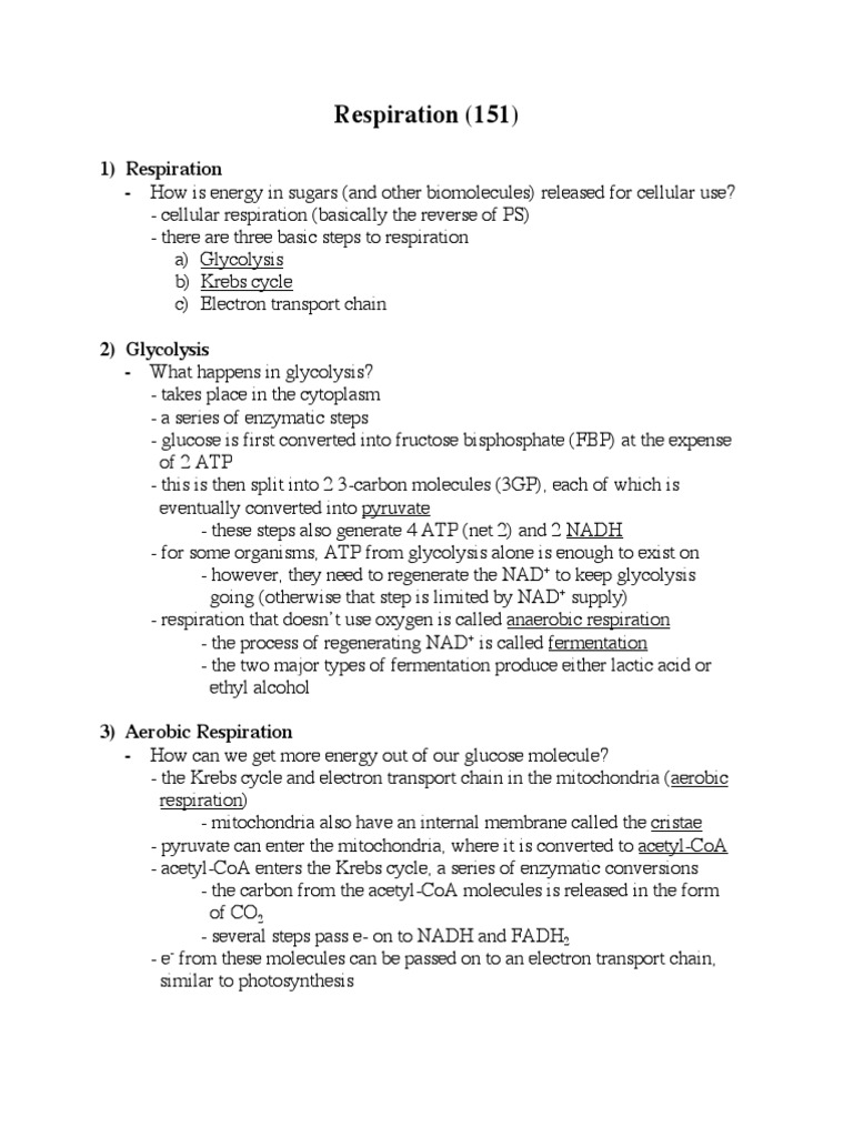 A Level Biology: Respiration Notes | PDF