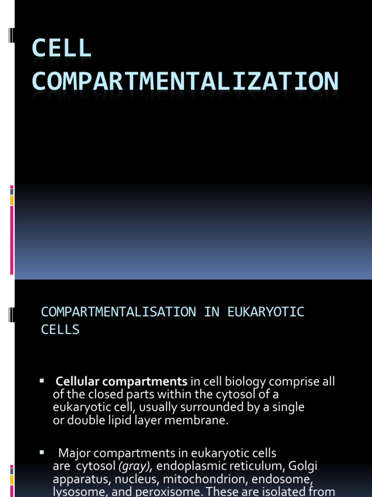 Cell Compartmentalization | PDF | Vesicle (Biology And Chemistry ...