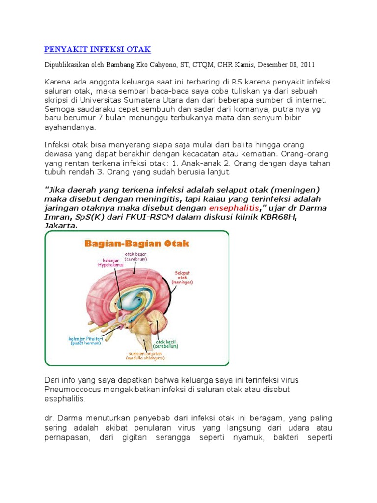 Penyakit Infeksi Otak | PDF