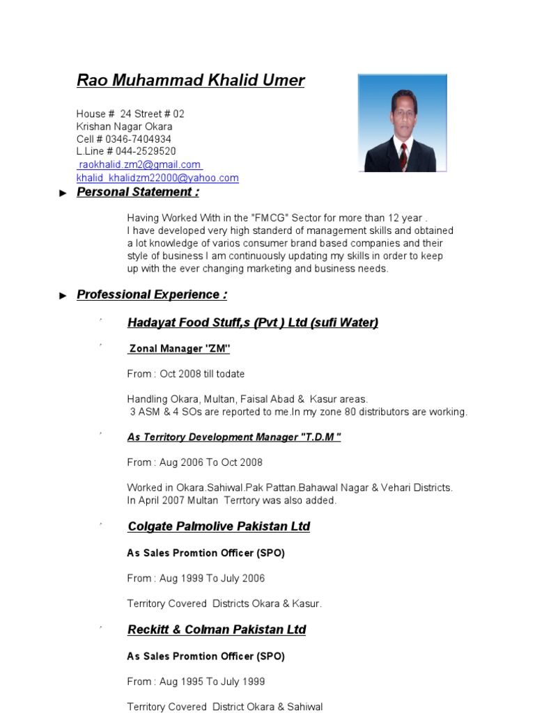 FMCG Sales Manager Resume Summary | PDF