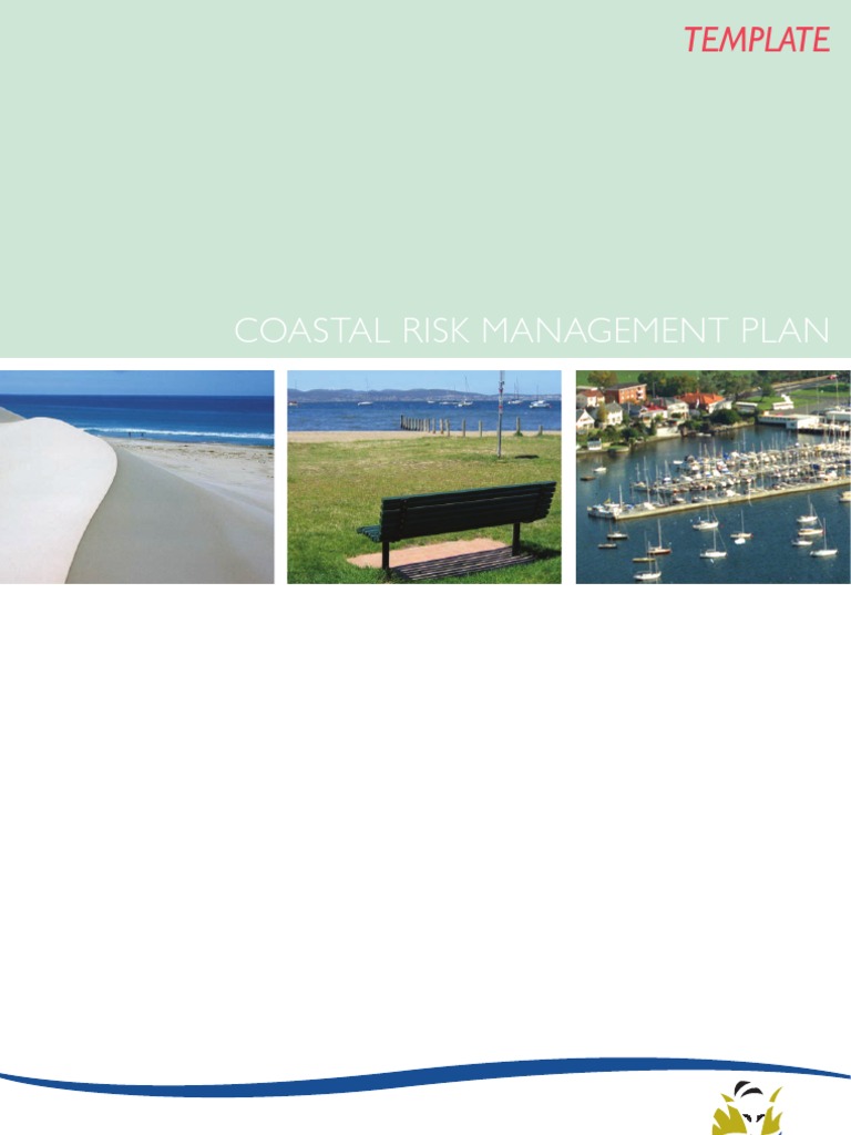 CRMP Template | PDF | Risk | Risk Management