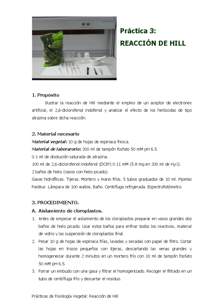 Reacción de Hill en Cloroplastos | PDF | Solución tampón | Química