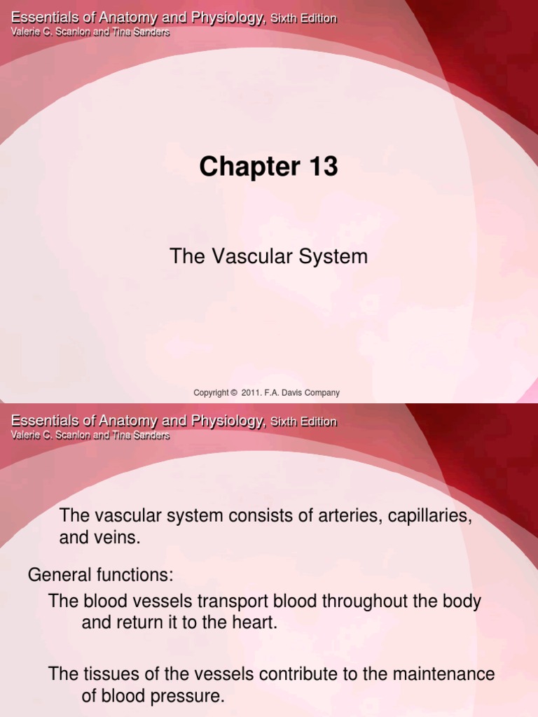 A&P Cardiovascular System PowerPoint (Nursing) | PDF | Circulatory ...