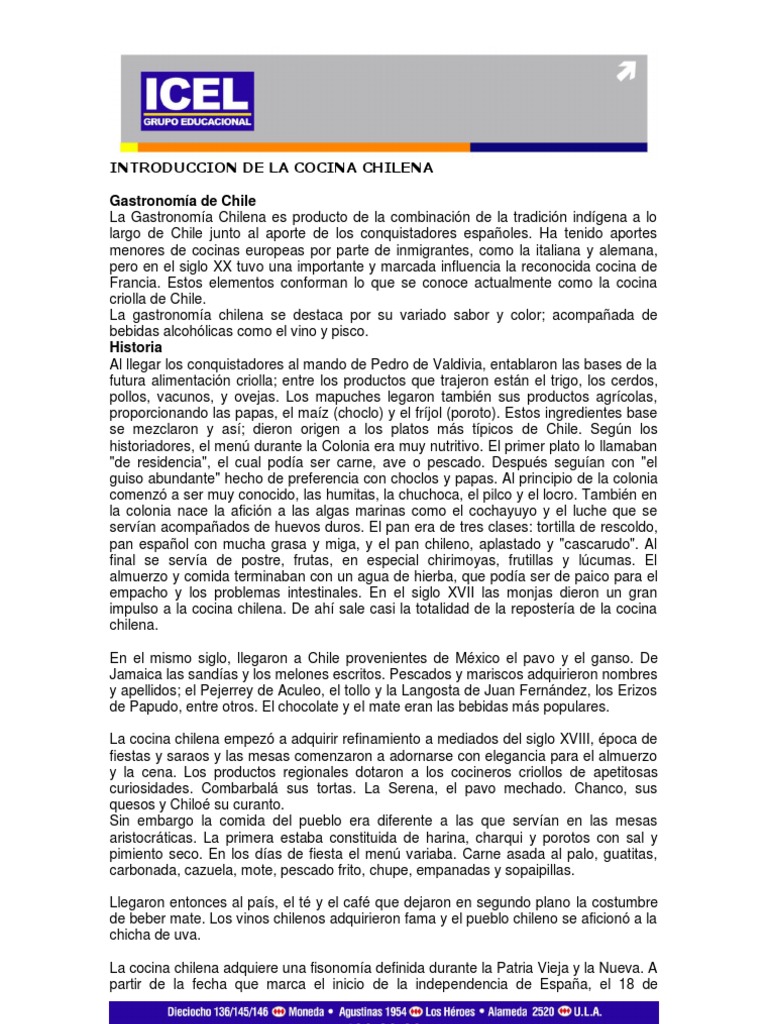 Cocina Chilena | PDF | Comida y bebida | Cocina
