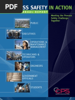 What Is Safe Operating Limits PDF | PDF | Temperature | Safety