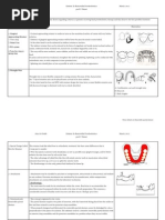 Turner Classification | PDF