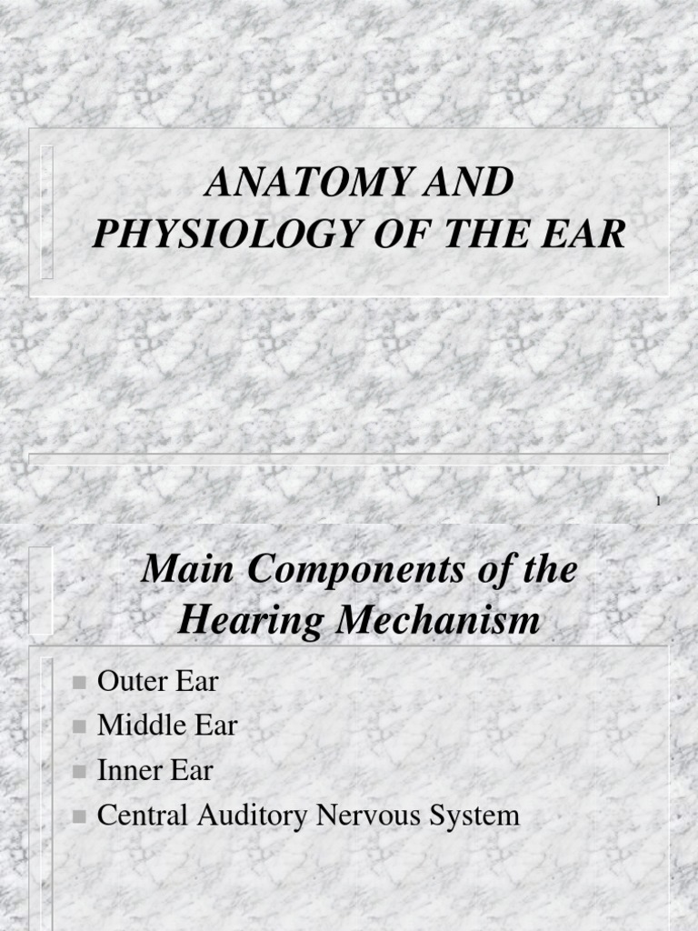 Ear Anatomy and Hearing Mechanism | PDF | Ear | Auditory System