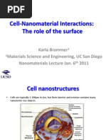 Biotechnology A Problem Approach | PDF | Amino Acid | Peptide