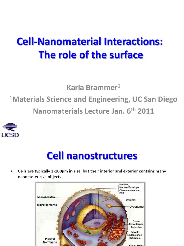 Cell Nanomaterial Interactions | PDF | Tissue Engineering ...