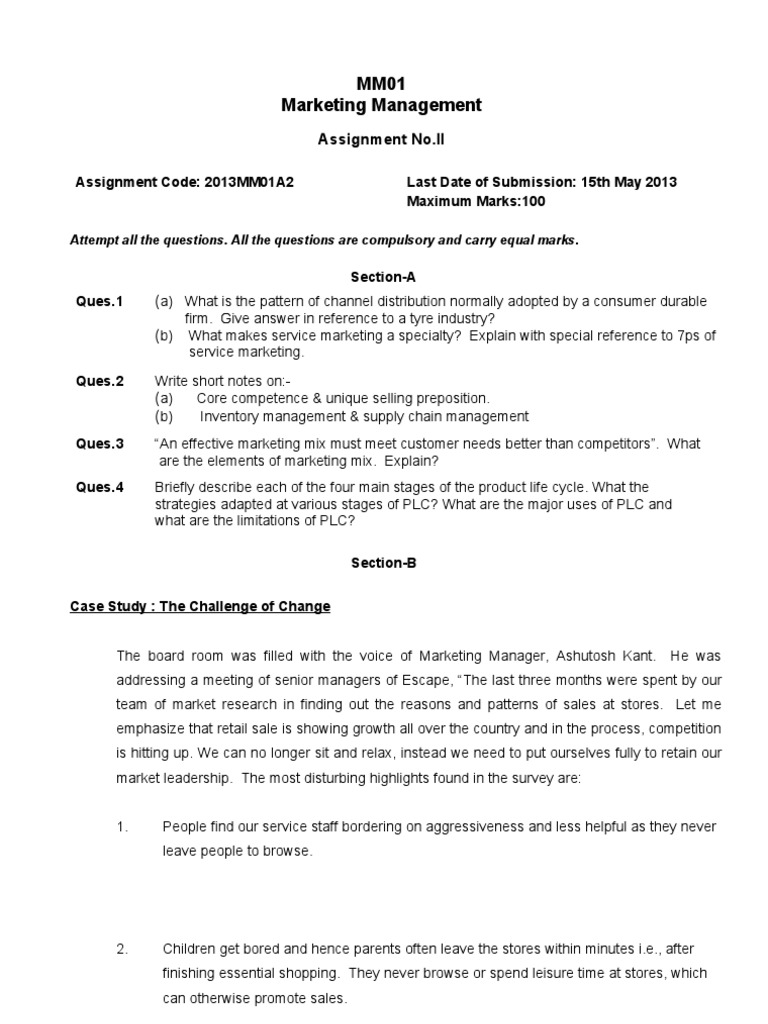 Marketing Management Assignment II Guide | PDF