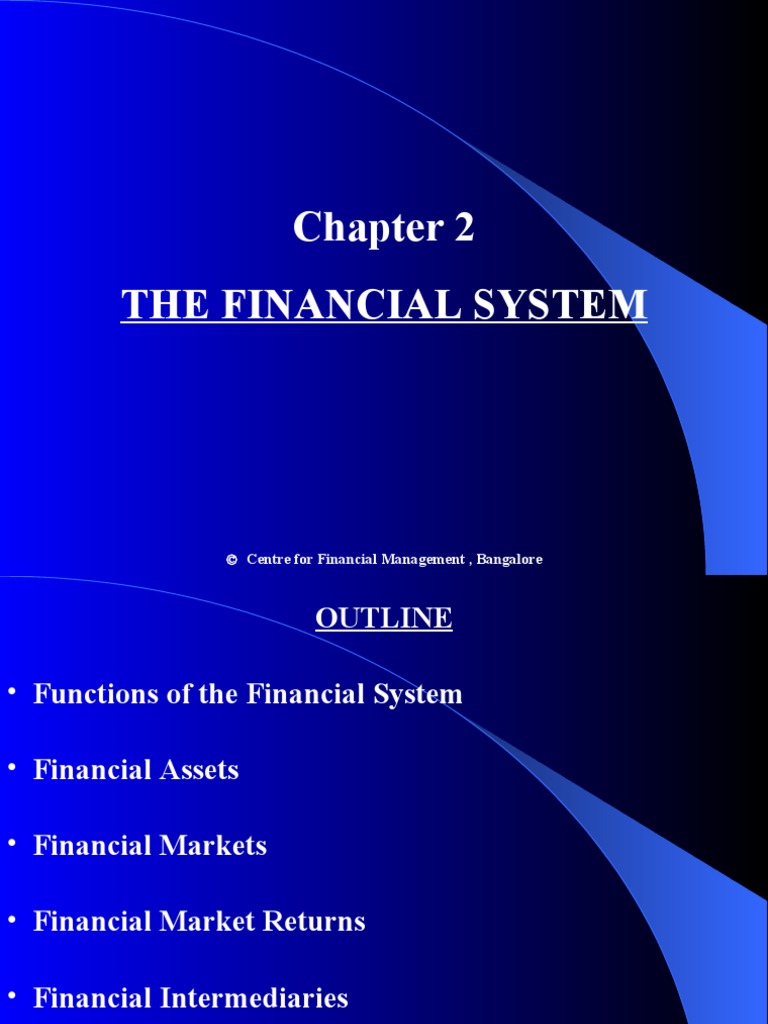 Chapter 2 The Financial System | PDF | Financial Markets | Market Liquidity