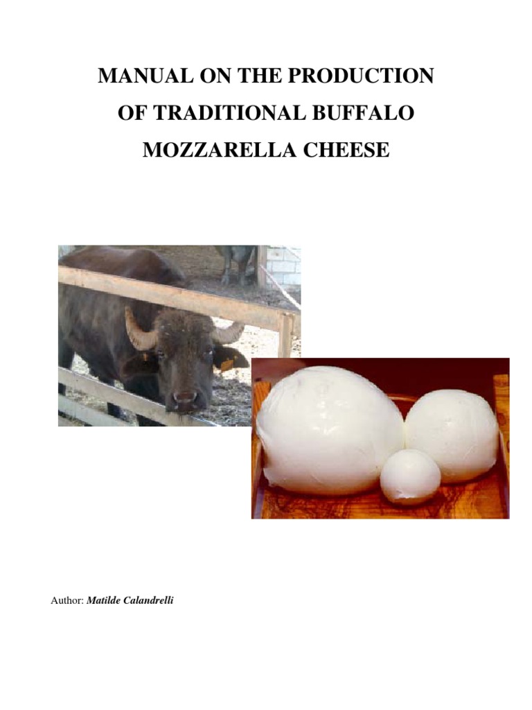 Manual On The Production of Traditional Mozzarella | PDF | Cheese ...