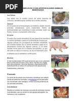 Animales Perjudiciales | PDF