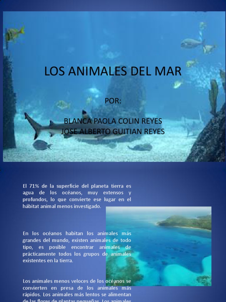 Animales del Mar: Especies y Hábitats | PDF