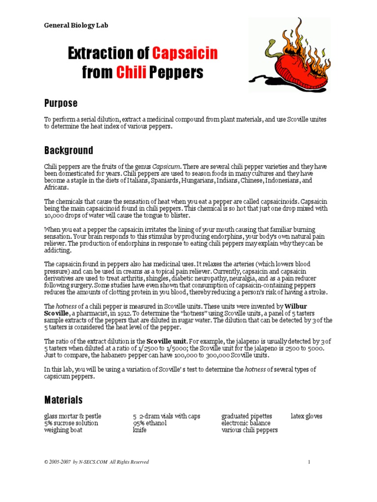 Capsaicin Lab | PDF | Chili Pepper | Capsicum