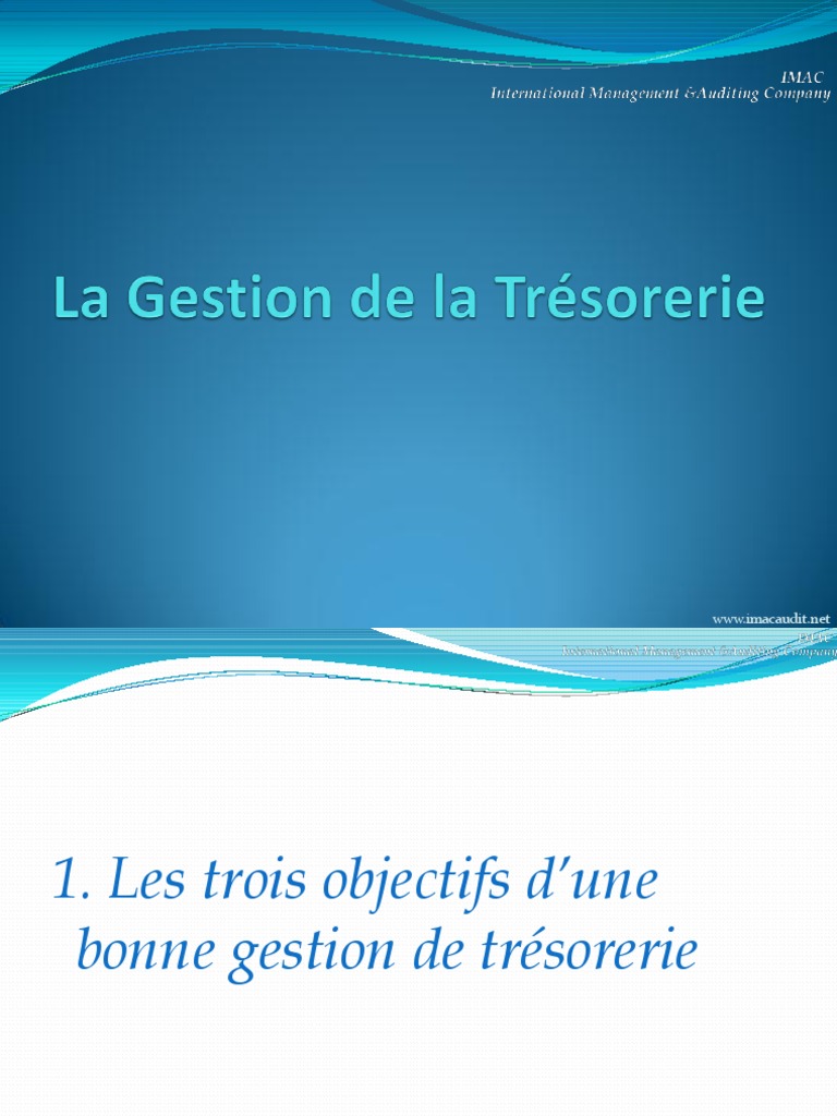 Gestion de Tresorerie | PDF