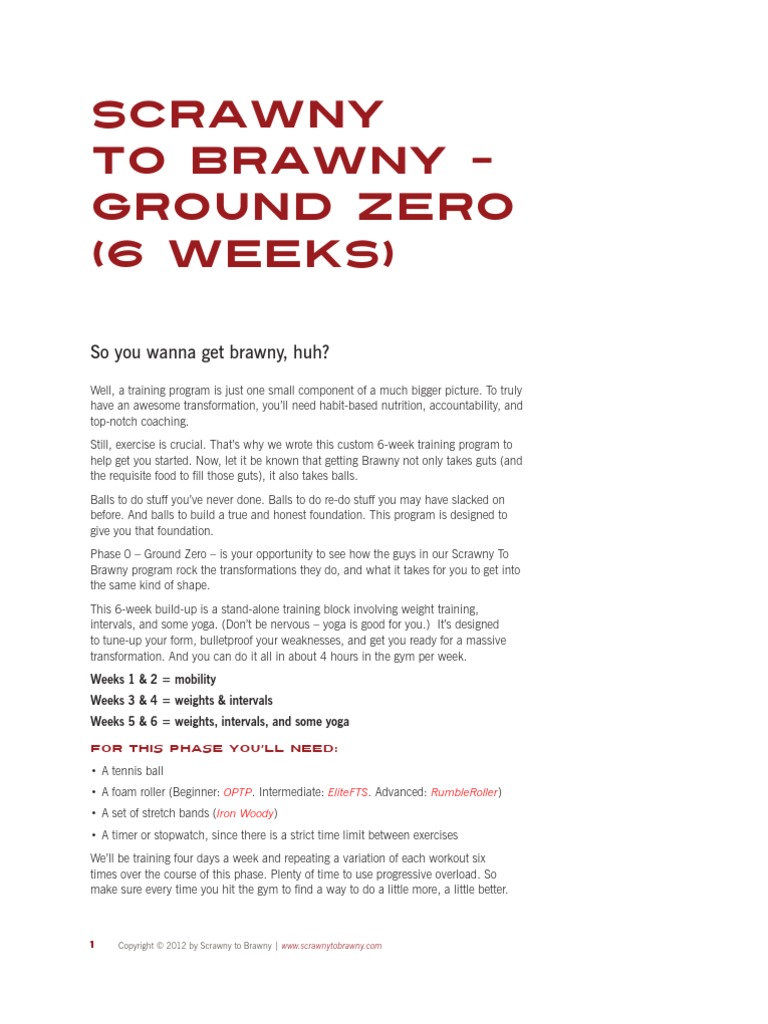 Ground Zero Training Program | PDF | Foot | Anatomical Terms Of Motion