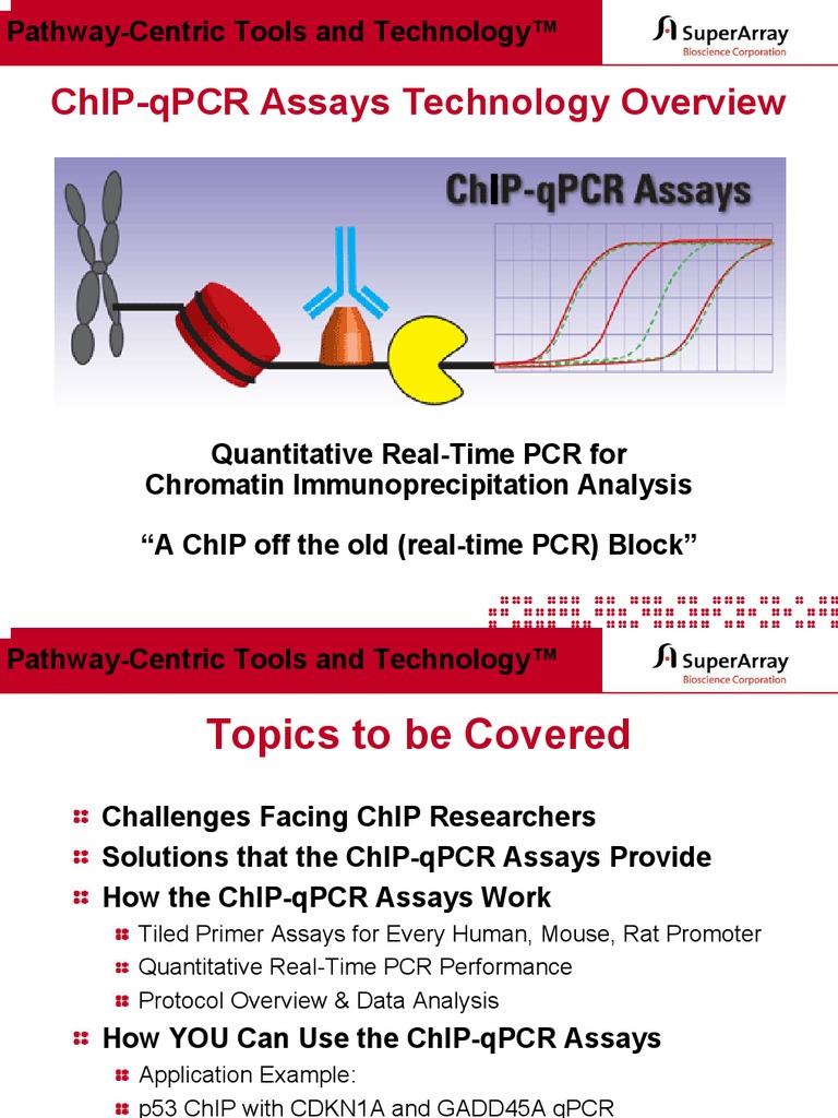 ChIP-qPCR Assays Technology Overview | PDF | Real Time Polymerase Chain ...