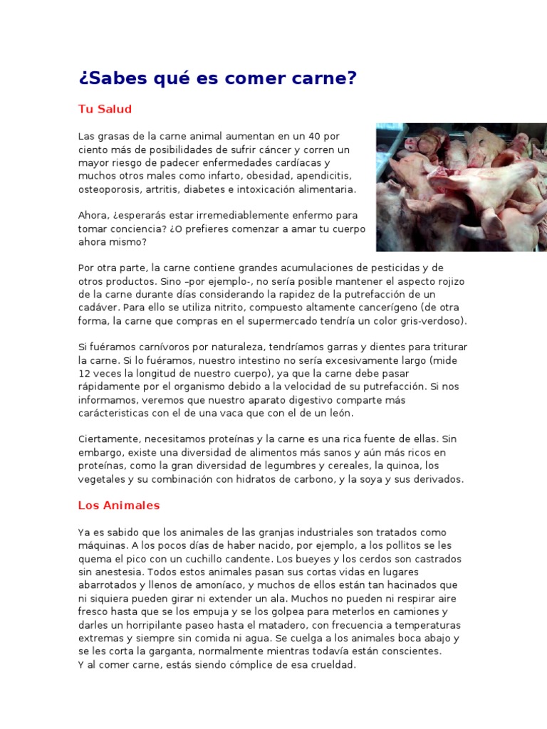 Sabes Qué Es Comer Carne | PDF | Carne | Cereales