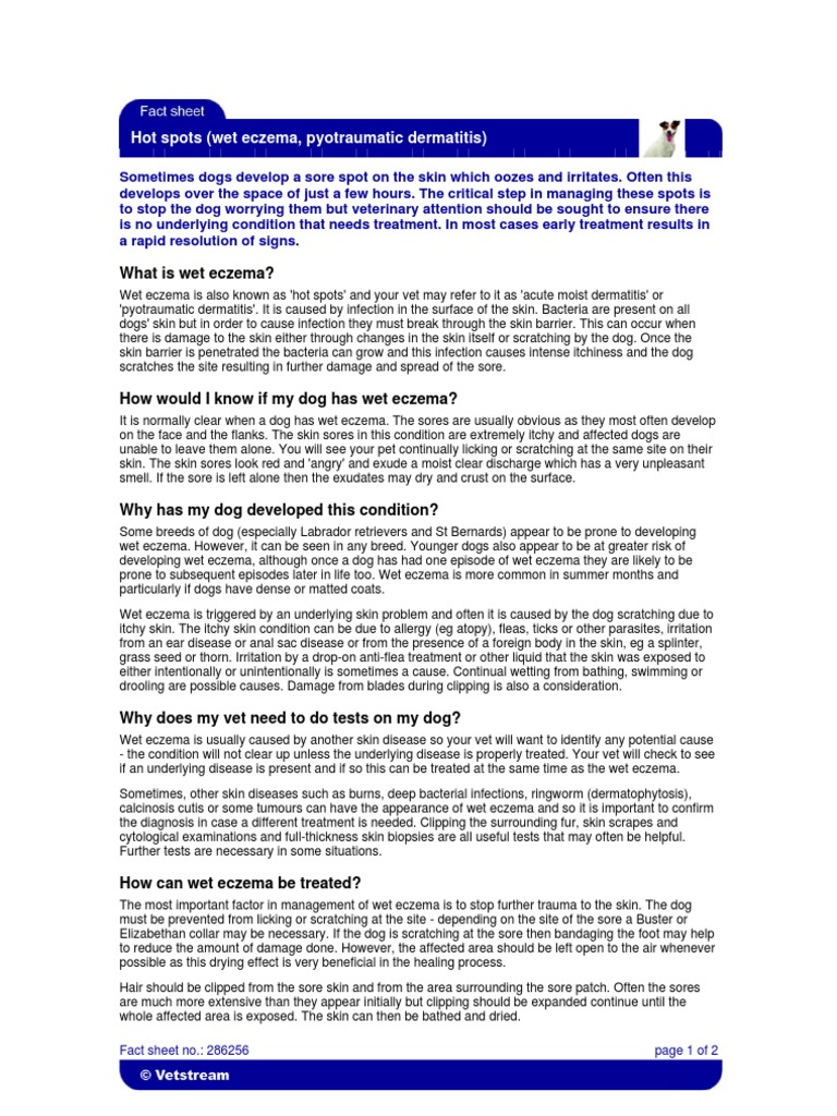 Hot Spots (Wet Eczema, Pyotraumatic Dermatitis) | PDF | Dermatitis ...