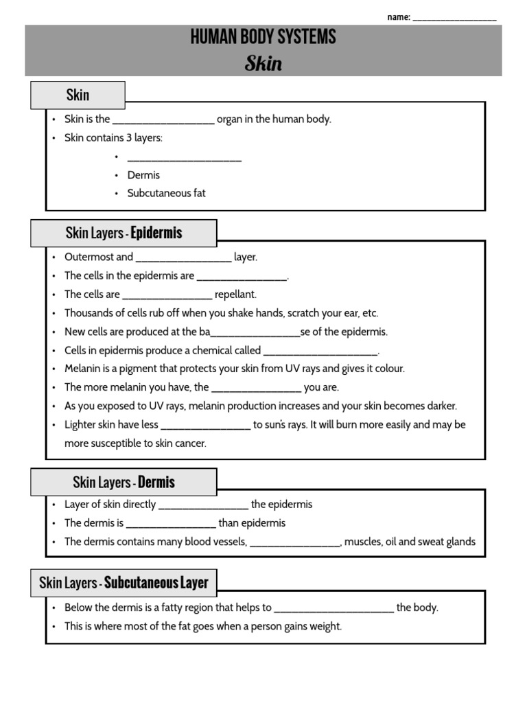 Skin KNP Note Taking Sheet | PDF | Skin | Epidermis